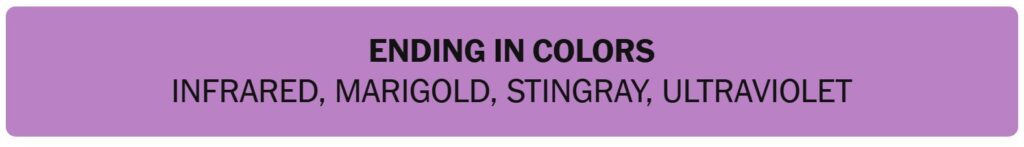 ‘NYT Connections’ Answers Today November 24th, 2025 – 897 Hints and ...